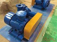 China 980kg 528GPM Mud Solids Control Drilling Shear Pump for sale