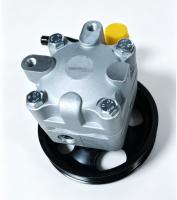 China 49110-CN00B Power Steering Pump Fits NISSAN X-Trail for sale