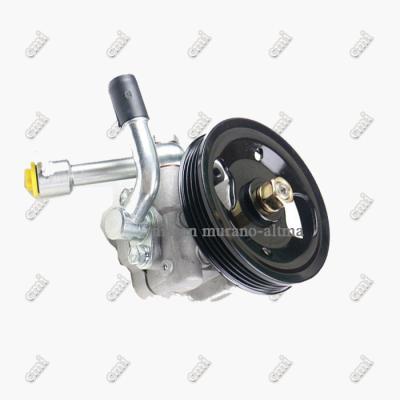 China Nissan Murano Power Steering Pump Replacement for Murano and Altima Models with 365-Day Warranty and 50K-80K KM Coverage for sale