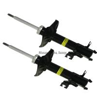 China 54303-6N000 Spring Based Shock Absorber for Nissan Sunny FB15 Pathfinder Armada 2007-2012 Models for sale