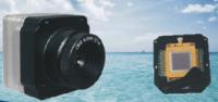 China Lwir Uncooled Thermal Imaging Module 35mm × 35mm × 35mm High Sensitivity for sale