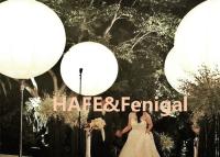 China White Led Tripod Moon Balloon Light Decorations 120V  USD50 for sale