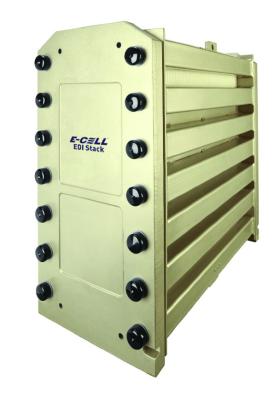 China Veolia E-Cell™-3X EDI Module: Zero-Chemical For Ultra-Pure Water Production​ for sale
