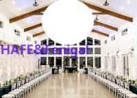 China Muse RGBW LED480 Moon Balloon Light 400W RGB Illumination to Turn Every Event into a Visual Feast for sale