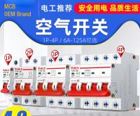 China OEM Miniature Circuit Breaker 6~63A, 80~125A, 1P,2P,3P,4P for Circuit Protection AC220~240V Application for sale