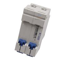 China Chint DZ47-60 Miniature Circuit Breaker 6~63A, 80~125A, 1P,2P,3P,4P for Circuit Protection AC220, 230V, 240V Use for sale