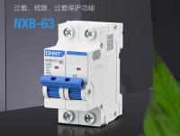 China Chint NXB Miniature Circuit Breaker 1~63A, 80~125A, 1P,2P,3P,4P for Circuit Protection AC230/400V Use for sale