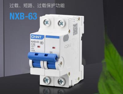 China Chint NXB Miniature Circuit Breaker 1~63A, 80~125A, 1P,2P,3P,4P for Circuit Protection AC230/400V Use for sale