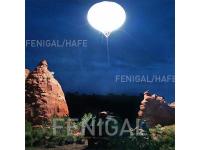 China Outdoor Or Indoor Most Occasion Film Photo Production Lighting Balloon 3m 9.84ft for sale