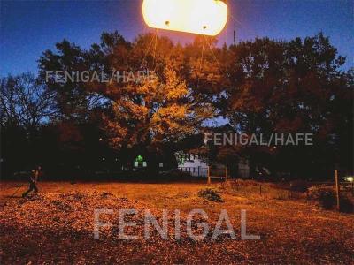 China 2.5m 8kW Tungsten Halogen Film Lighting Balloons for sale