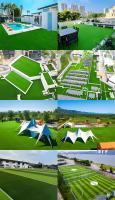 China Versatile Synthetic Lawn Grass All Weather Artificial Grass Turf Customizable Multi Use Surface for sale