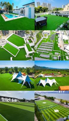 China Versatile Synthetic Lawn Grass All Weather Artificial Grass Turf Customizable Multi Use Surface for sale