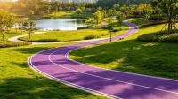 China Ultimate Resilience PU Running Track Green Polyurethane Sports Surfaces for sale