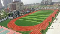 China Foamed Full PU Running Track 13mm 15mm Athletic Running Track For Athlete Protection for sale