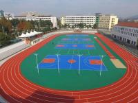 China Competition Grade Synthetic Running Track Foamed Polyurethane Running Track Microfoam Resilience for sale