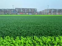 China Professional Artificial Sports Turf 40mm - 60mm Artificial Green Turf For Fifa Level Football Pitches for sale