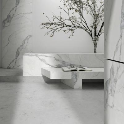 China Glazed Porcelain Tile 1200x2800mm Frost Resistant PEI 4 for Floor Wall for sale
