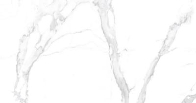 China Carrara Outdoor Patterned Porcelain Tiles 400x800mm Super White Color Low 0.2% Absorption Rate for sale
