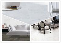 China Arabescato Corchia White Marble Look Porcelain Tile 600x1200mm 12mm Thick for sale