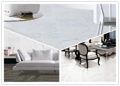 China Arabescato Corchia White Marble Look Porcelain Tile 600x1200mm 12mm Thick for sale
