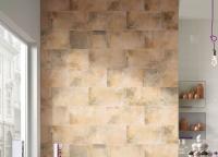 China Outdoor Cement Look Porcelain Floor Tiles 600x600mm 10mm Thickness Matte Surface Non-Slip for sale