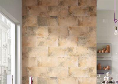 China Outdoor Cement Look Porcelain Floor Tiles 600x600mm 10mm Thickness Matte Surface Non-Slip for sale