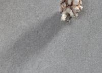 China Light Grey Ceramic Kitchen Floor Tile 300x600 Mm Size 10 Mm Thickness for sale