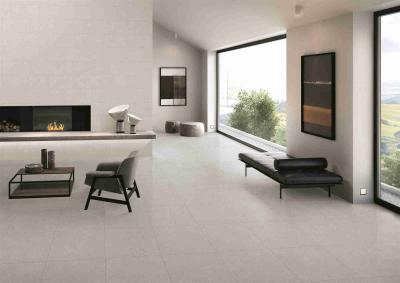 China Light Grey Full Body Granite Stone Anti-Slip Floor Tile 24x24x0.4 Inches R11 Matt Finish for sale