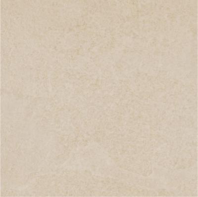 China Morandi Andis Porcelain Tile 24x24 Inch Antibacterial Carpet Ceramic with 9.5mm Thickness and R10 Anti-Slip Rating for sale