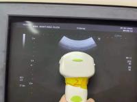 China Toshiba convex array original ultrasound probe PVU-375BT ultrasonic transducer for sale