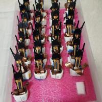 China Original GE VIVIDS5 Phased Array Ultrasound Probe Crystals 3SC-RS Fully Tested for sale