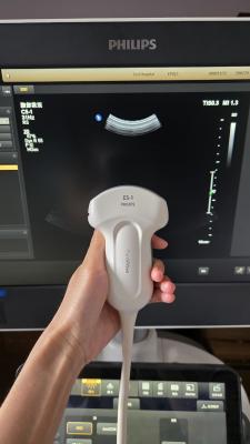China ATL CX50 EPIQ Curved Array Original Ultrasound Probe C5-1 For OB/GYN for sale
