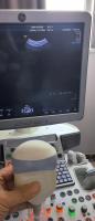China GE VolusonI VolusonE 3D/4D Convex Array Original Ultrasound Probe RAB2-5-RS for sale