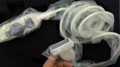 China GE LogiqE10 Linear Array Original Ultrasound Probe L2-9-D for sale