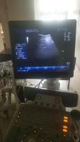 China GE original imaging ultrasound machine Logiq P6 for sale