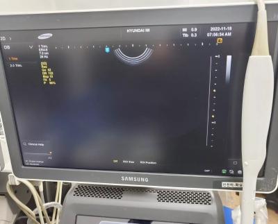 China Samsung Medison H60 Intracavity Array Original Ultrasound Probe ER4-9 for sale