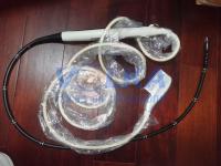 China GE VIVIDE80 VIVIDE95 3D/4D TEE Cardiac Ultrasound Probe 6VT-D for sale