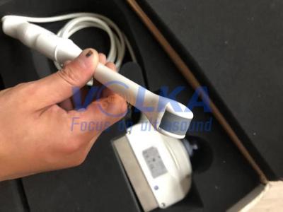 China GE LogiqP5 LogiqP6 LogiqS6 Endocavity Array Original Ultrasound Probe E8CS for sale