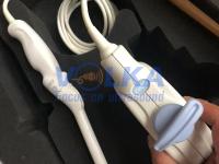 China GE LogiqP5 LogiqP6 LogiqS6 Endocavity Array Original Ultrasound Probe E8CS for sale