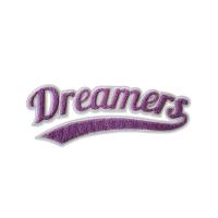 China 5'' Embroidered Letters Logo Patch , Baseball Patches For Jackets OEM ODM for sale