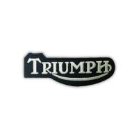 China Custom Embroidered Biker Patches Iron On Motorcycle Patches OEM 12 Inch for sale