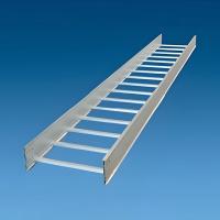 China High Flexibility Ladder Rack Cable Tray For Heavy Load Capacity And Durable Cable Management for sale