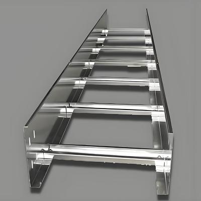 China Outdoor Indoor Ladder Rack Cable Tray Galvanized with Ventilation Functionality for sale