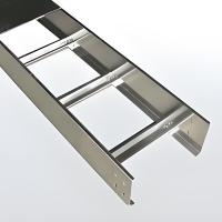 China 50mm-150mm Height Steel Ladder Type Cable Tray For Heavy Load Up To 500kg And Material In Industrial Environments for sale