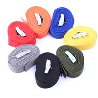 China DANSKY Heavy Duty Retractable Ratchet Tie Down Strap 25mm 38mm 50mm Polyester Cargo Lashing Belt for Truck for sale