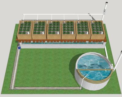 China Intelligent Recirculating Aquaponics System with Food Grade PP/PE and 90% Water Saving for Indoor Gardens for sale