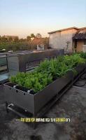 China Aquaponics Garden System Featuring Modular Components for Scalable Urban Farming Solutions and Year Round Crop Cultivation for sale