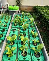 China Vertical PP / PE Aquaponic Garden System  In Hot Weather for sale