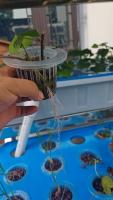 China PE / PP High Efficiency Aquaponics System Kit Multi Layer Vertical Layout for sale