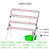 China Closed-loop Smart Aquaponics Ecosystem with Food Grade PP/PE and Modular Customizable Indoor Garden & Fish Tank for sale
